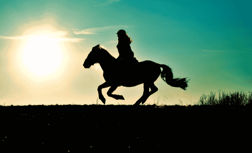 Monter à cheval en été : attentes versus réalité - Contre Galop