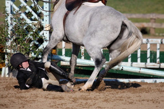 Ces différents types de cavaliers à l'obstacle -Contre Galop