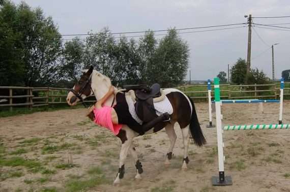 Ces types de chute à cheval qu'on connaît tous - Contre Galop