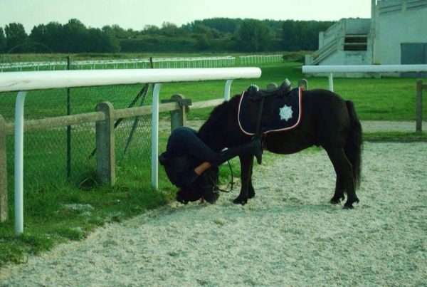 Ces types de chute à cheval qu'on connaît tous - Contre Galop