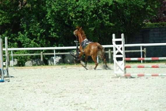 Ces types de chute à cheval qu'on connaît tous - Contre Galop