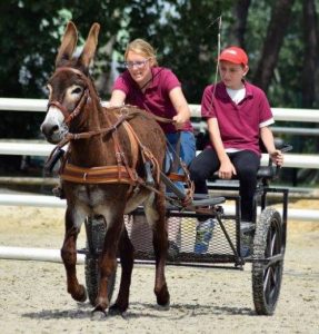 Le Galop 1 : Le guide complet - Contre Galop