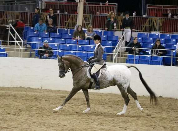 Top 10 des raisons de se mettre aux concours de hunter - Contre Galop