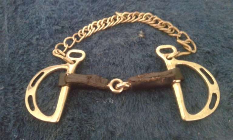 Les différents mors et leur usage : Le guide complet - Contre Galop