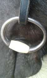 Les différents mors et leur usage - Le guide complet - Contre Galop