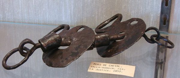 Les différents mors et leur usage : Le guide complet - Contre Galop