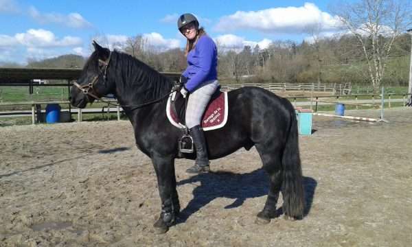 Le galop 2 - Le guide complet - Contre Galop