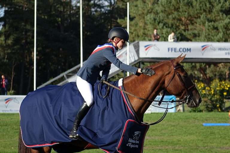 5 types de chevaux de concours - Contre Galop