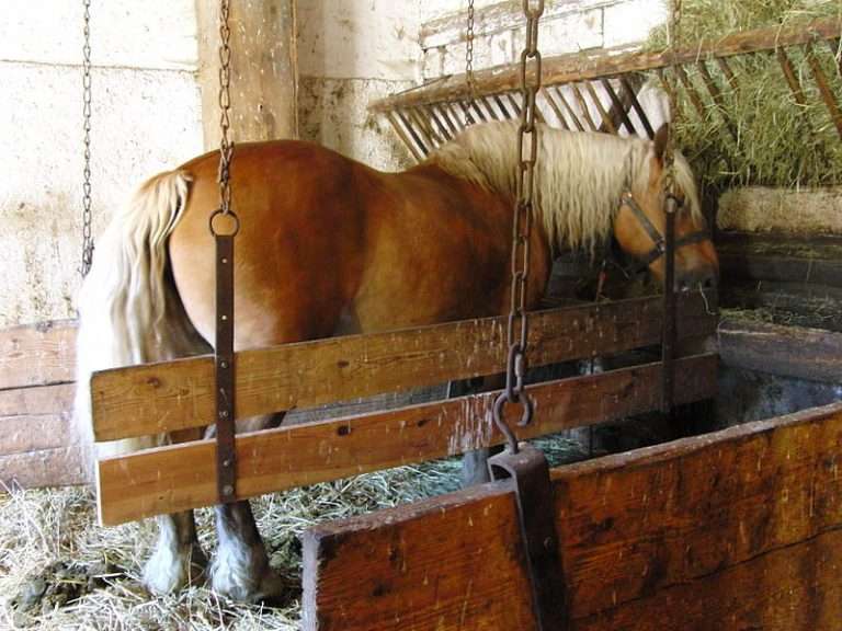 Le Galop 2 : Le guide complet - Contre Galop