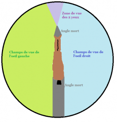 Le galop 2 - Le guide complet - Contre Galop