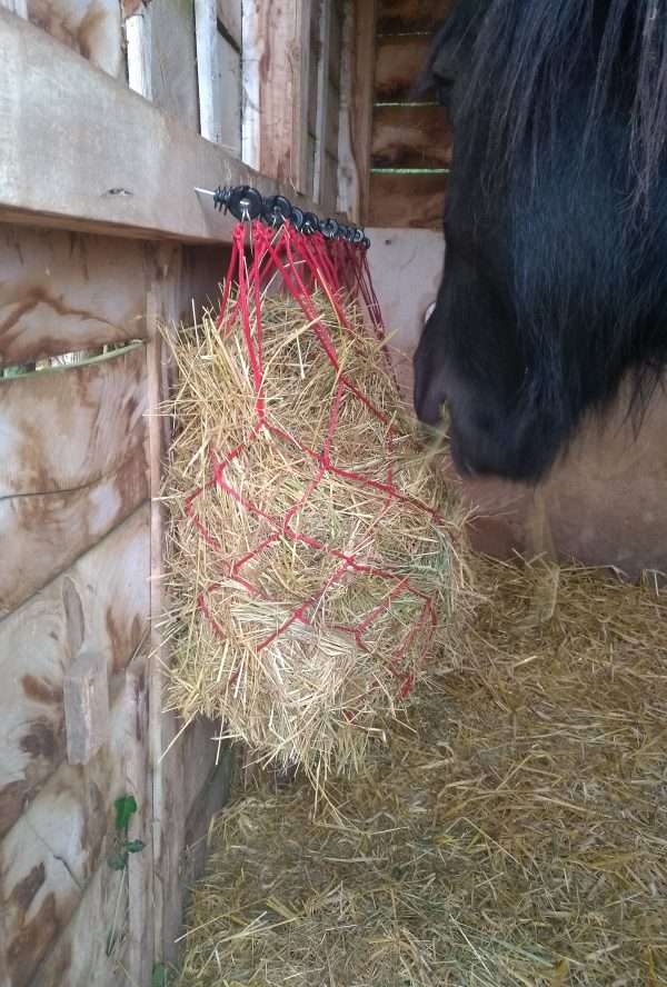 L’alimentation du cheval : Le guide complet - Contre Galop