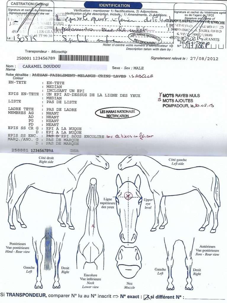 Le Galop 4 : Le guide complet - Contre Galop
