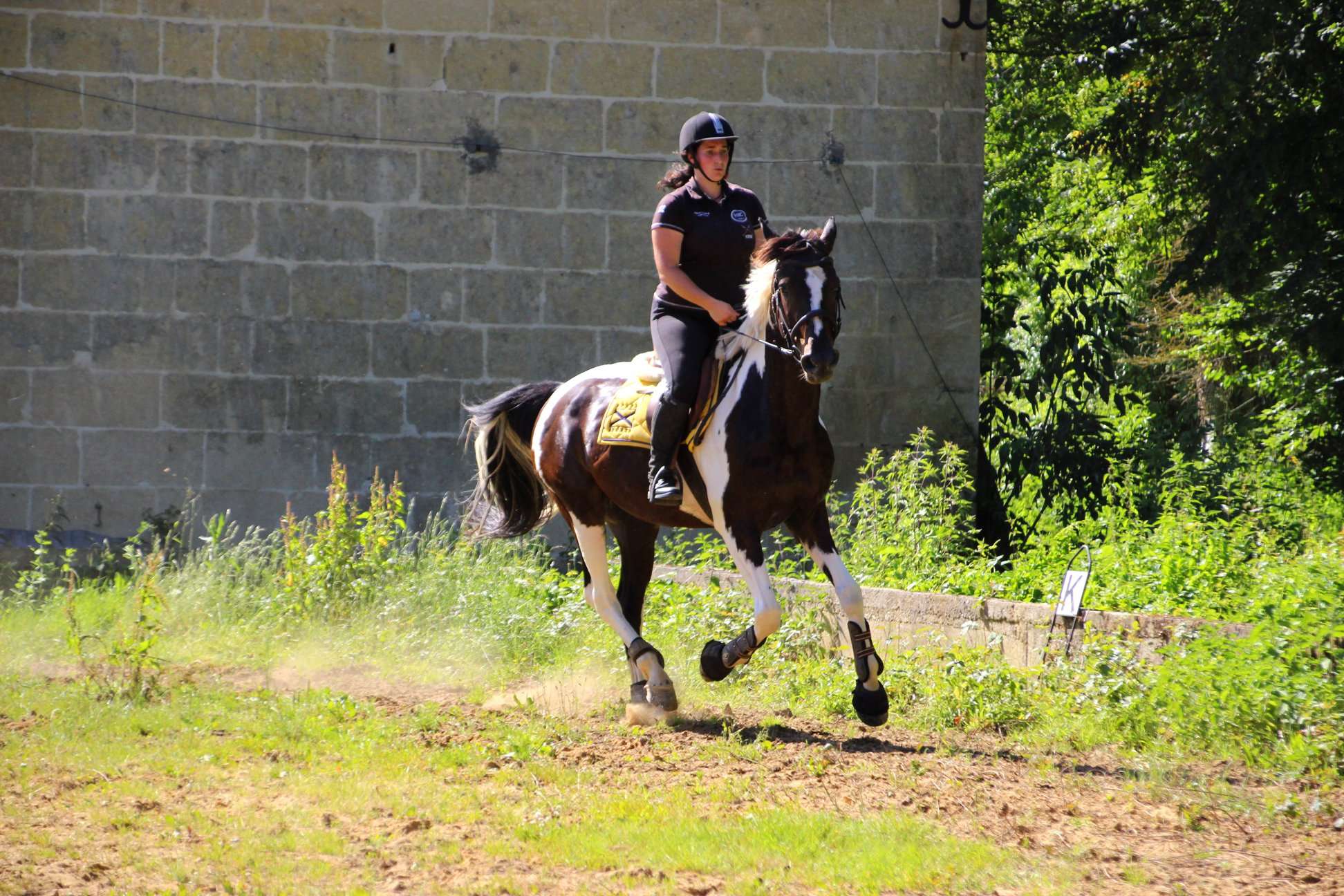 Les bonnes raisons de se mettre au TREC - Contre Galop