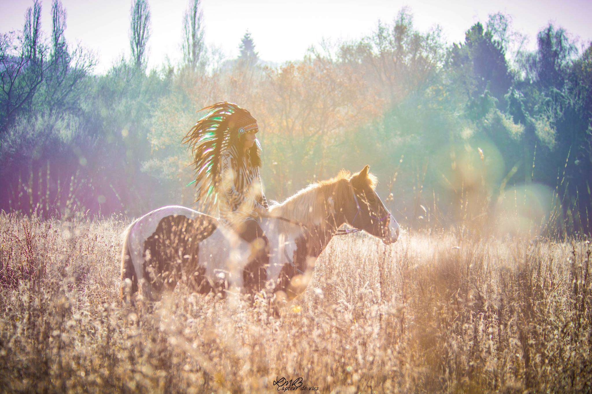 Histoire de l'équitation : Le cheval à travers les âges - Contre Galop
