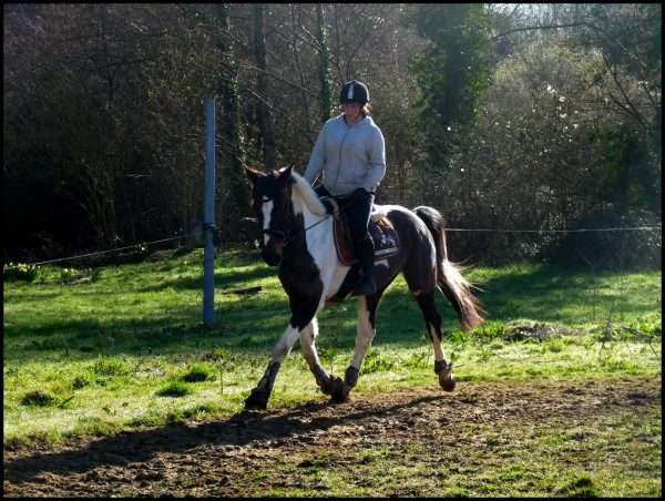 Galop 4 : Le guide complet - Contre Galop