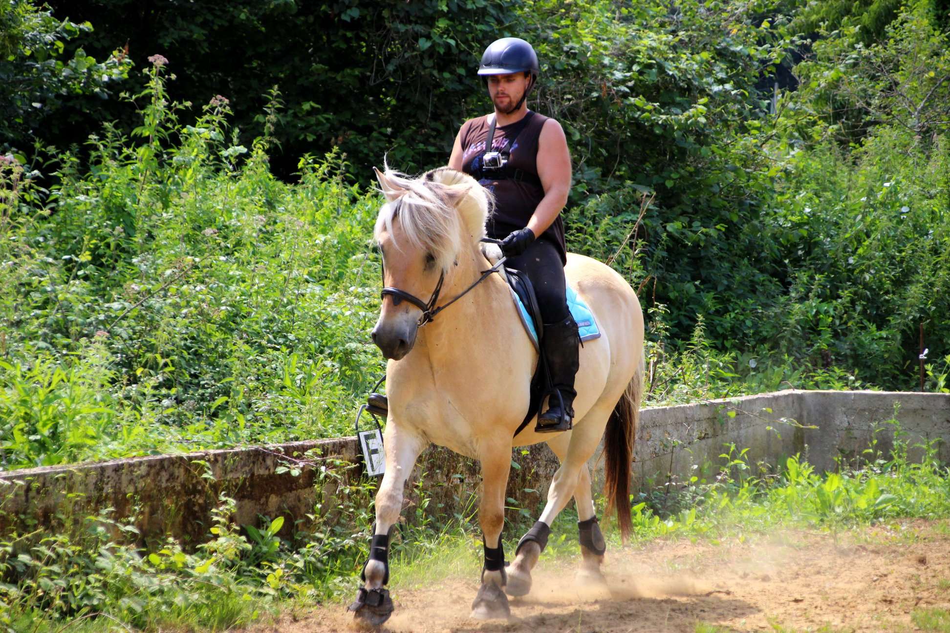 Galop 4 : Le guide complet - Contre Galop