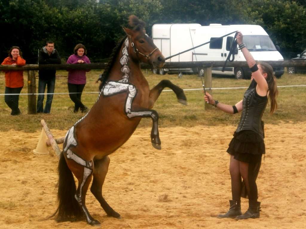 Qu'est ce que le cabrer ? - Contre Galop