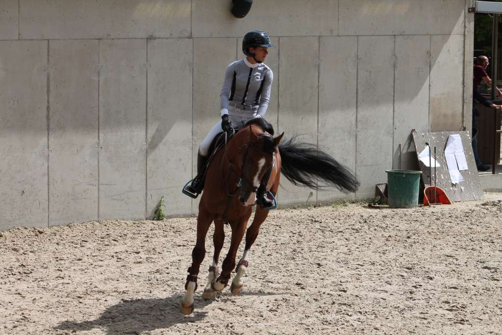 Le Galop 5 : Le guide complet - Contre Galop