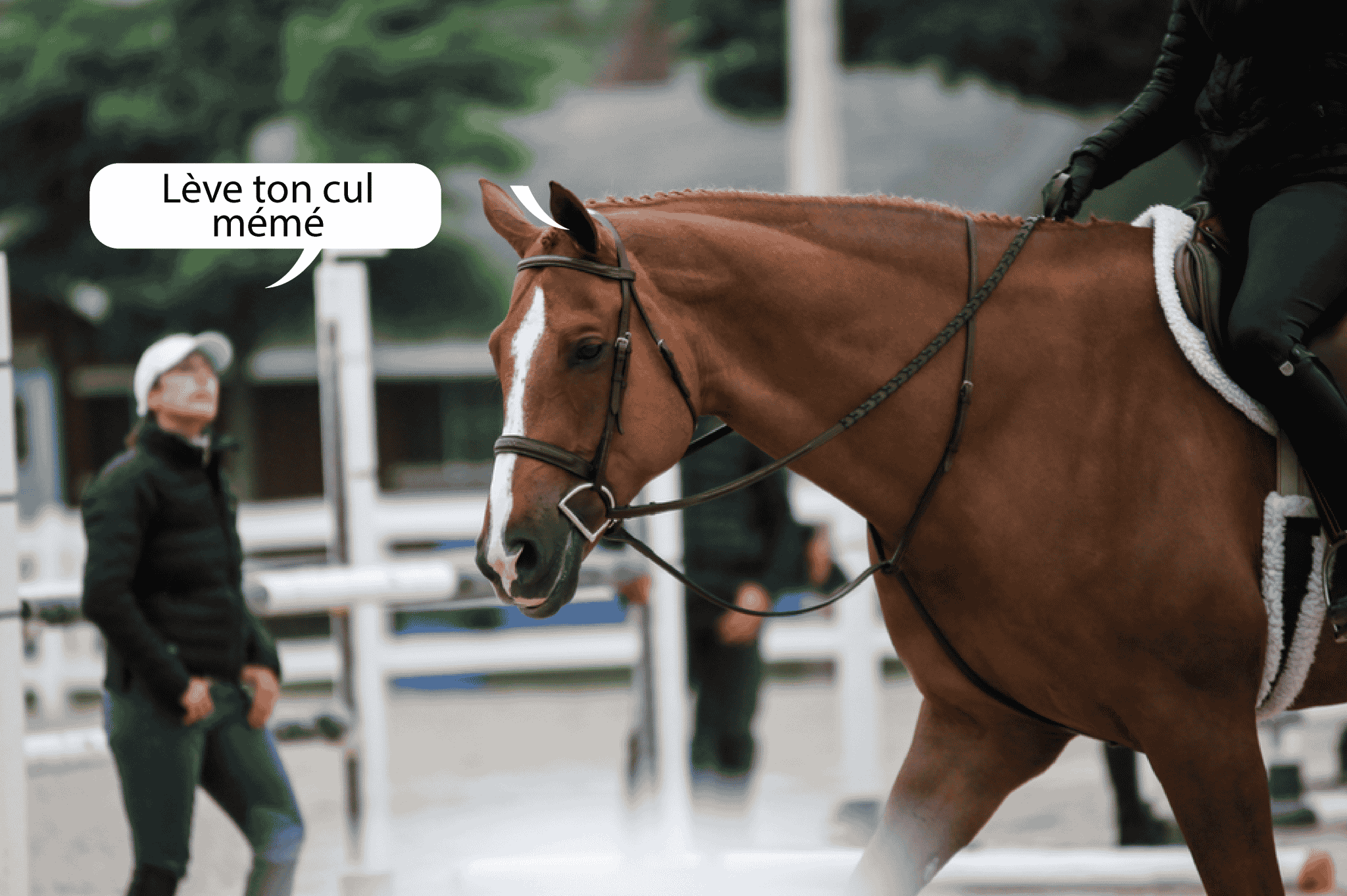 Qu'est ce que l'incurvation ? - Contre Galop