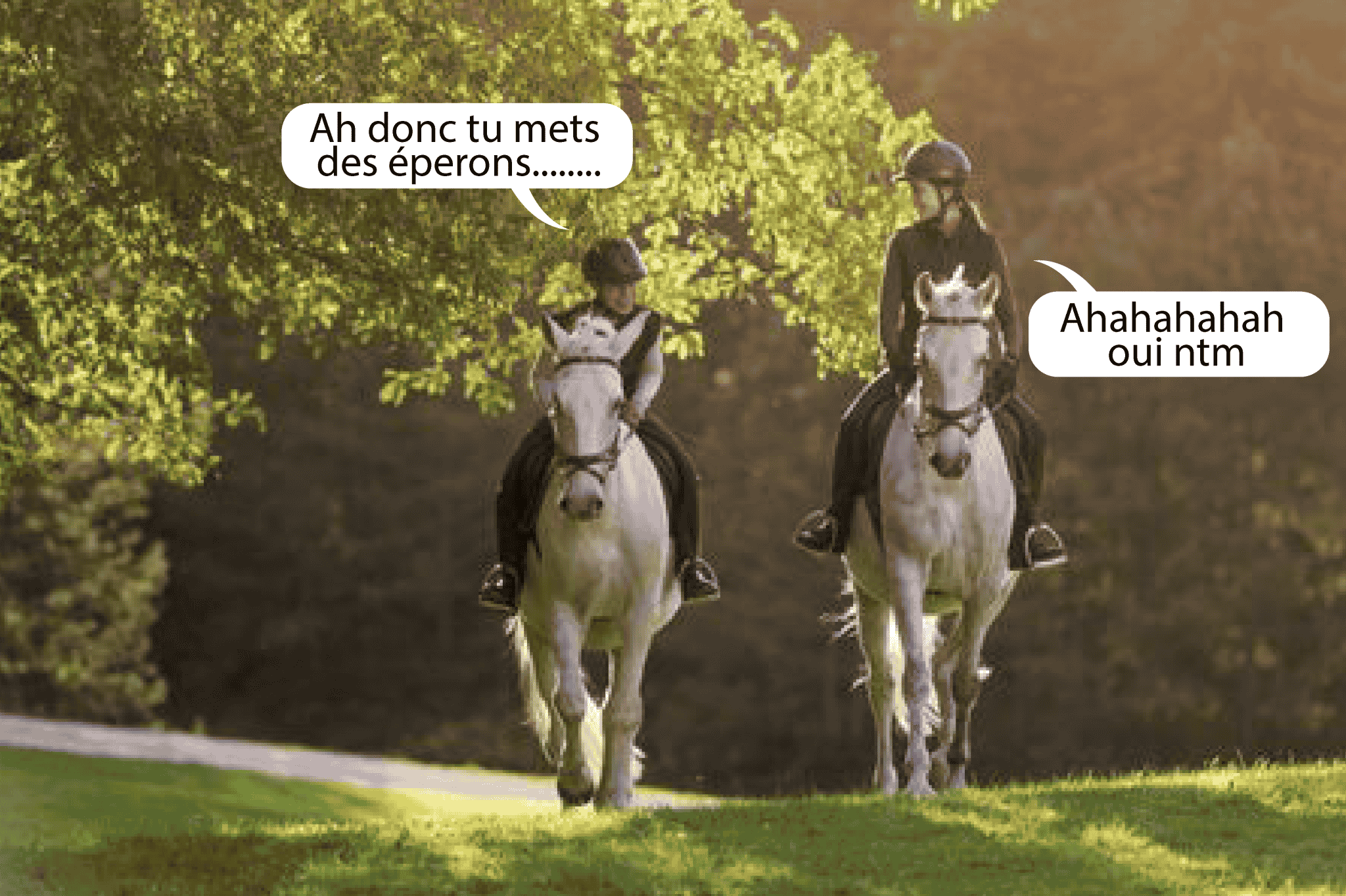 Top 10 des expressions avec le mot cheval - Contre Galop