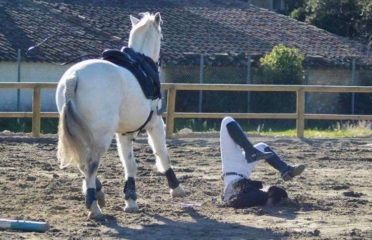 Top 10 des différentes chutes à cheval - Contre Galop