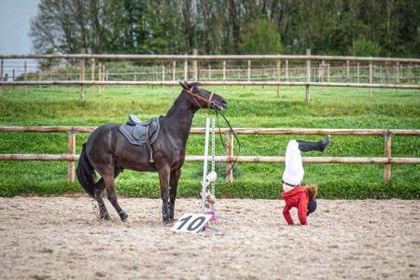 Top 10 des différentes chutes à cheval - Contre Galop