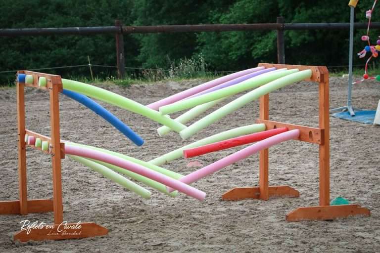 Equifeel : Le guide complet - Contre Galop