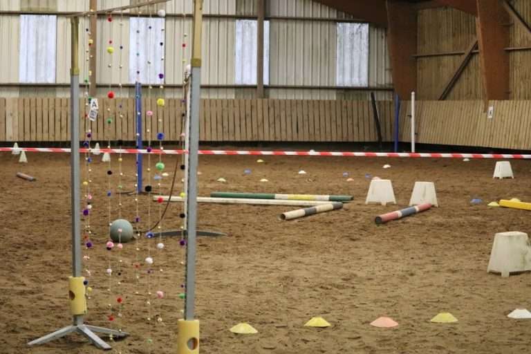 Equifeel : Le guide complet - Contre Galop