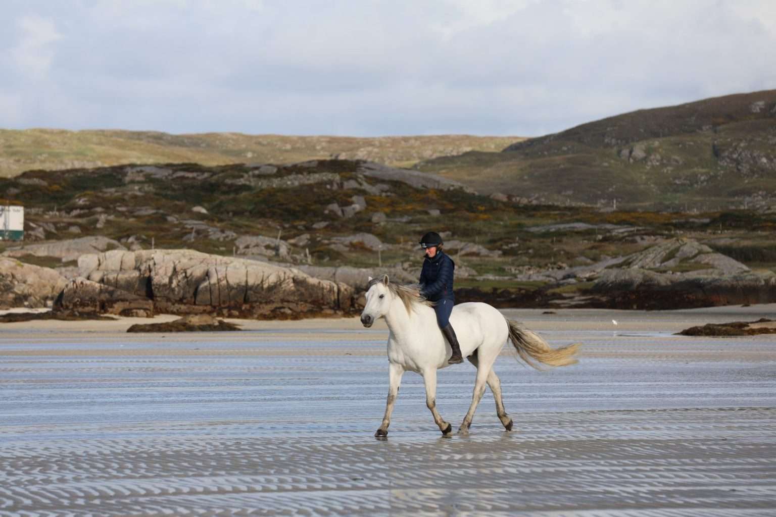 Le Galop 5 : Le guide complet - Contre Galop