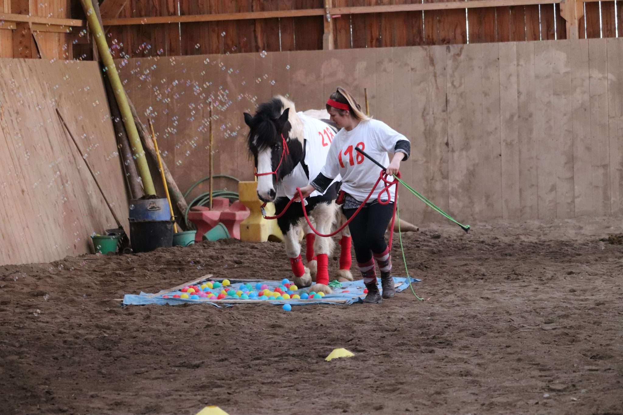 Equifeel : Le guide complet - Contre Galop