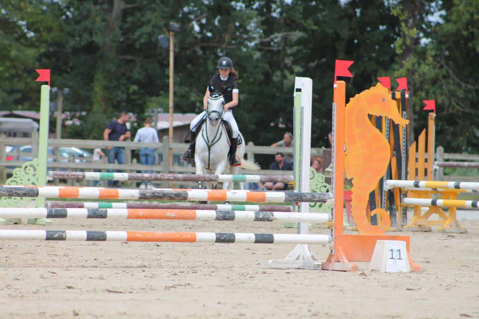 Le Galop 5 : Le guide complet - Contre Galop