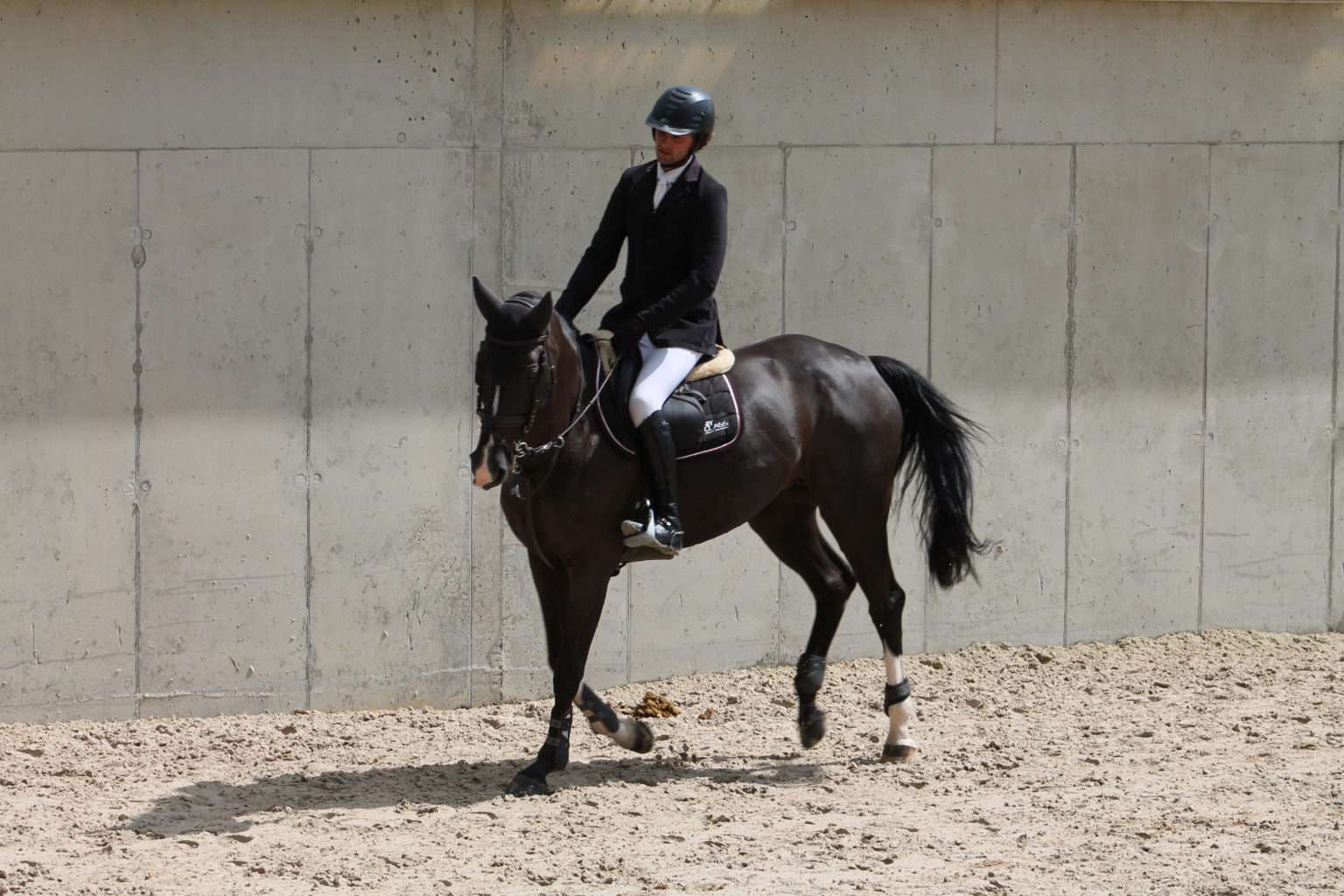 Le Galop 5 : Le guide complet - Contre Galop