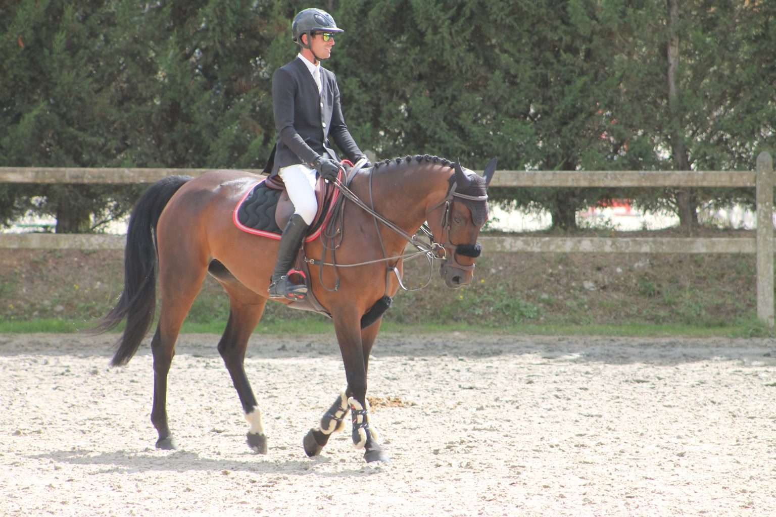 Le Galop 5 : Le guide complet - Contre Galop