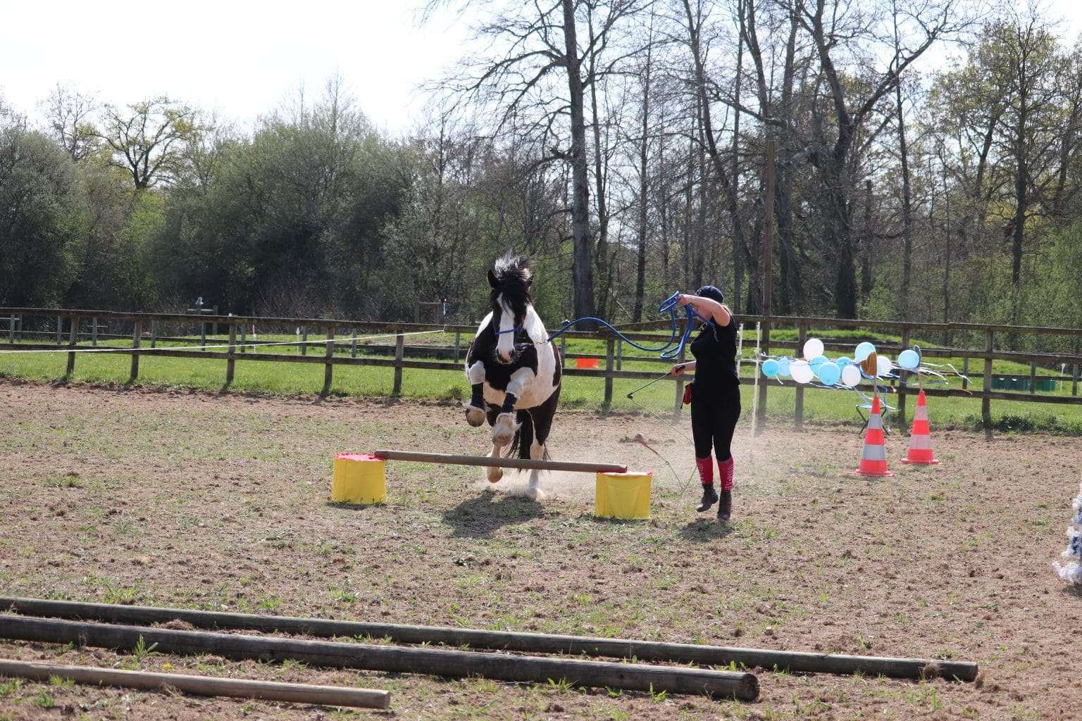 Equifeel : Le guide complet - Contre Galop