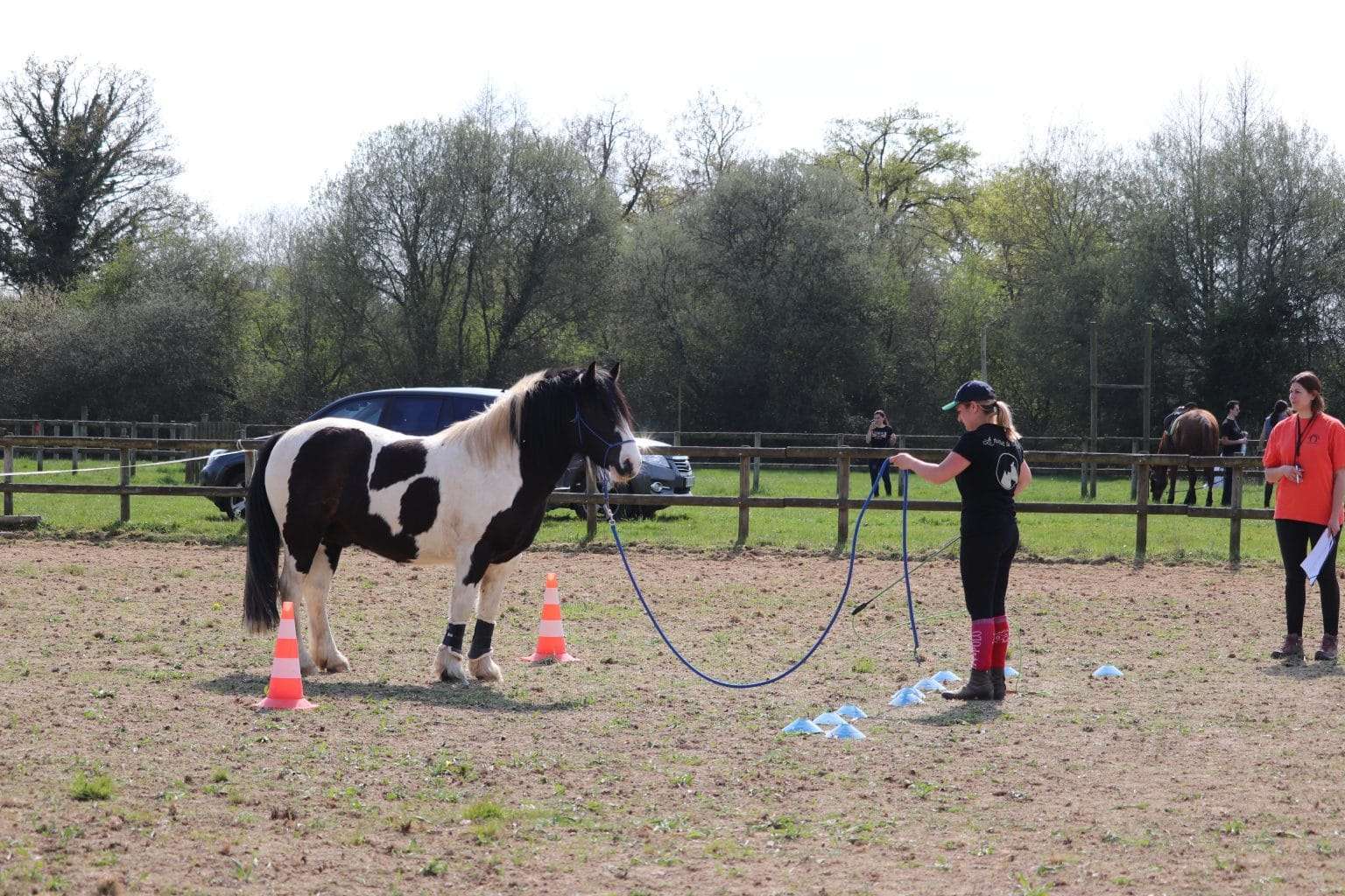 Equifeel : Le guide complet - Contre Galop