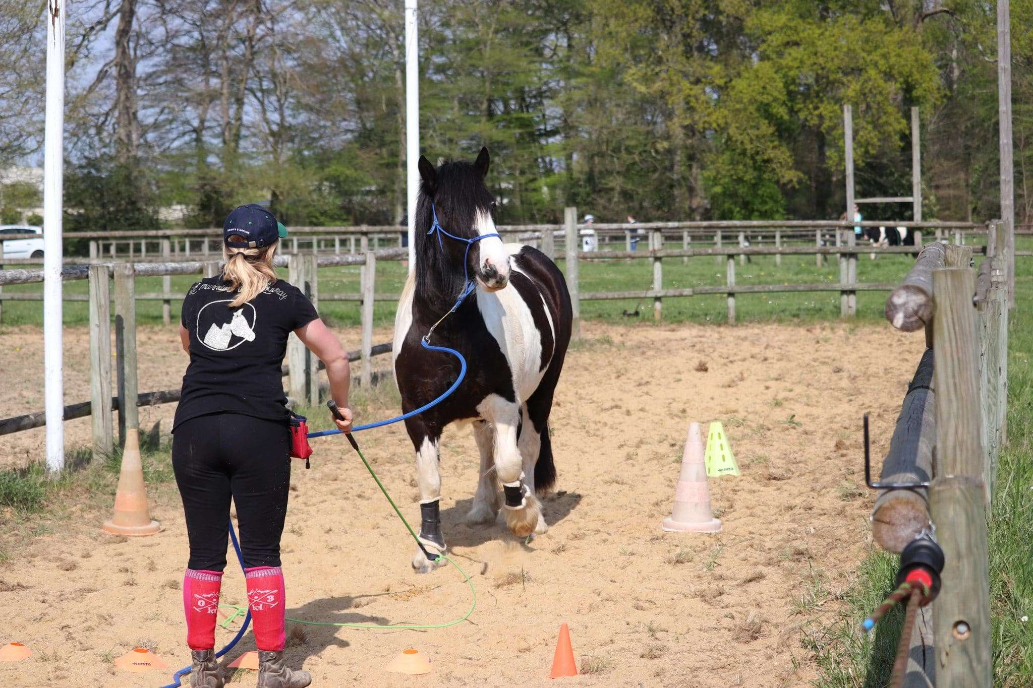 Equifeel : Le guide complet - Contre Galop