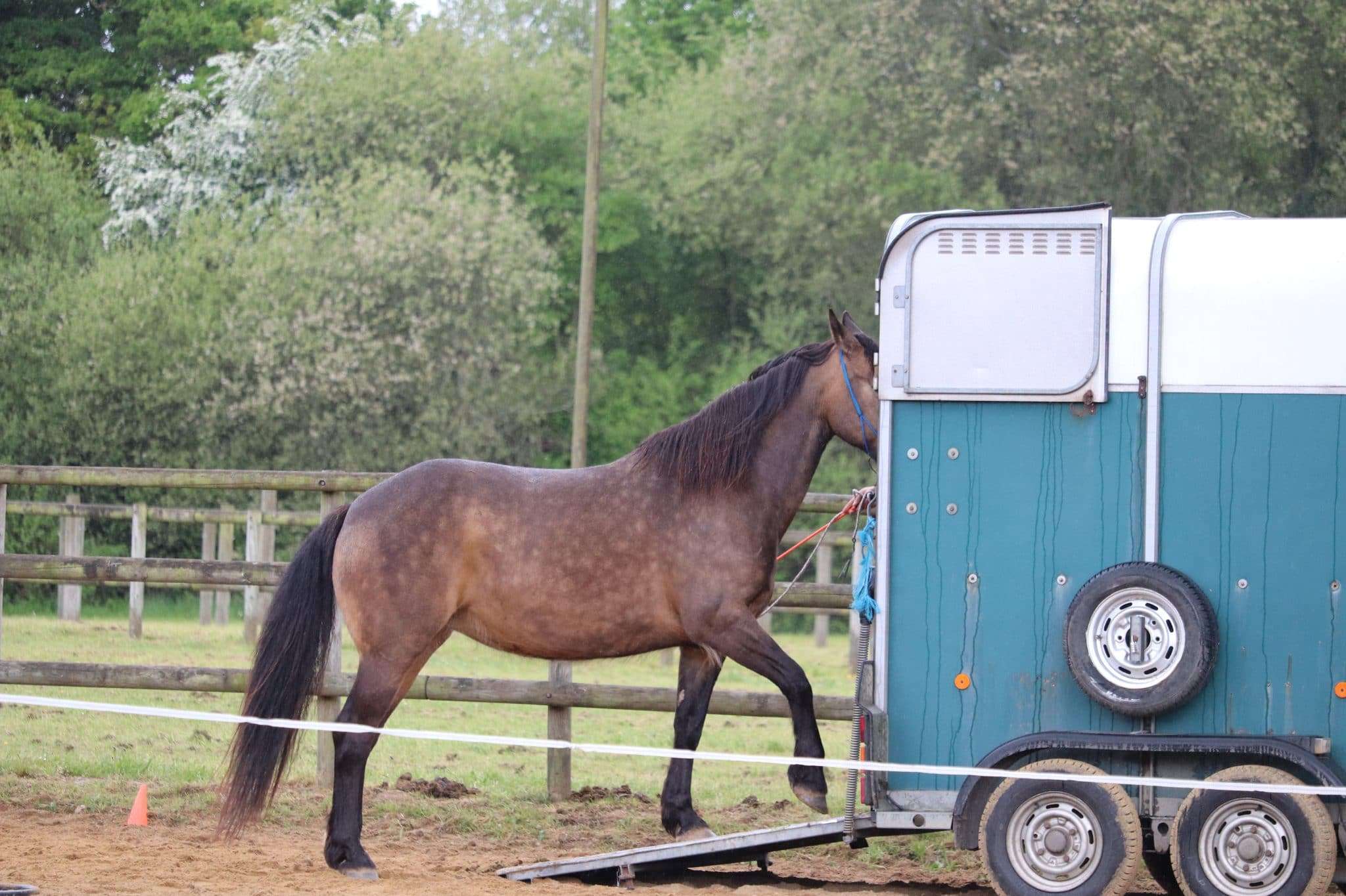 Equifeel : Le guide complet - Contre Galop