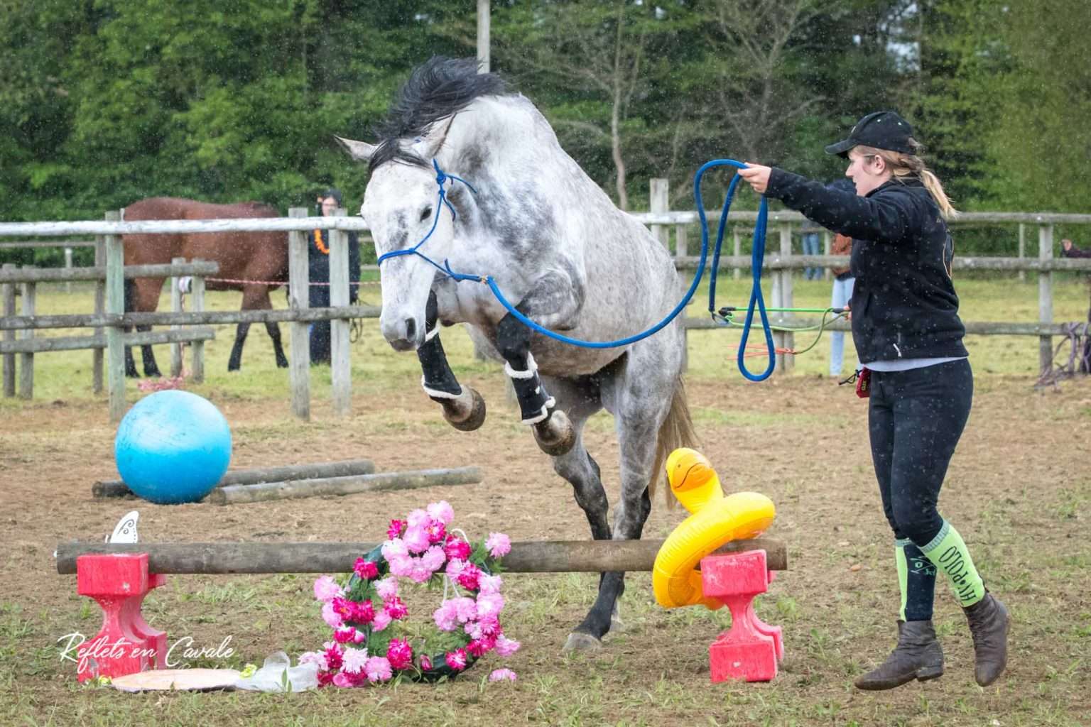 Equifeel : Le guide complet - Contre Galop