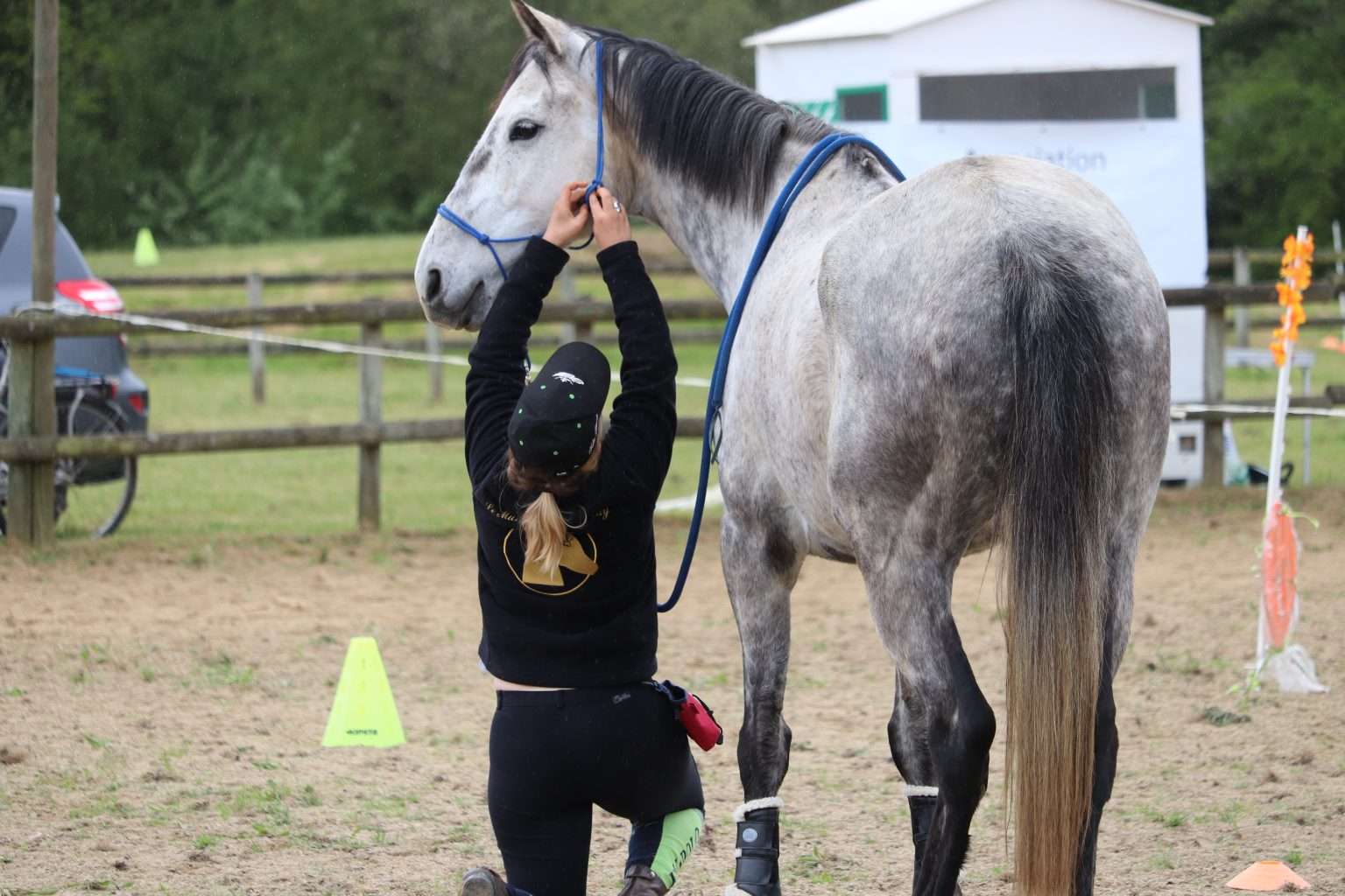 Equifeel : Le guide complet - Contre Galop