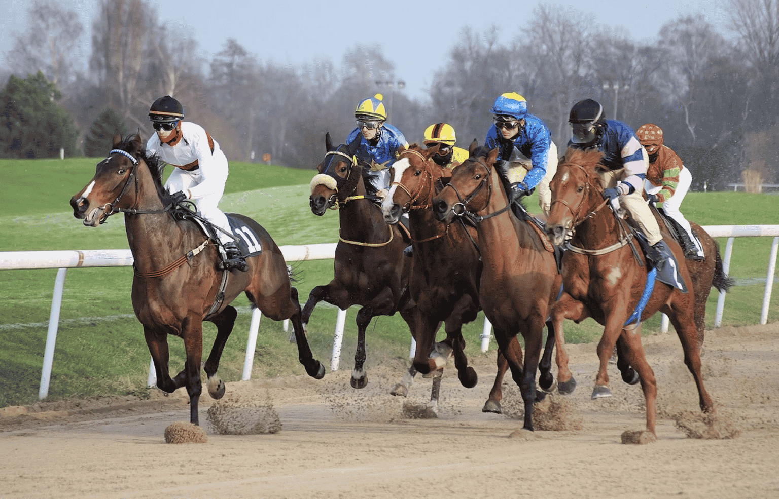 Les meilleurs jeux de chevaux - Contre Galop